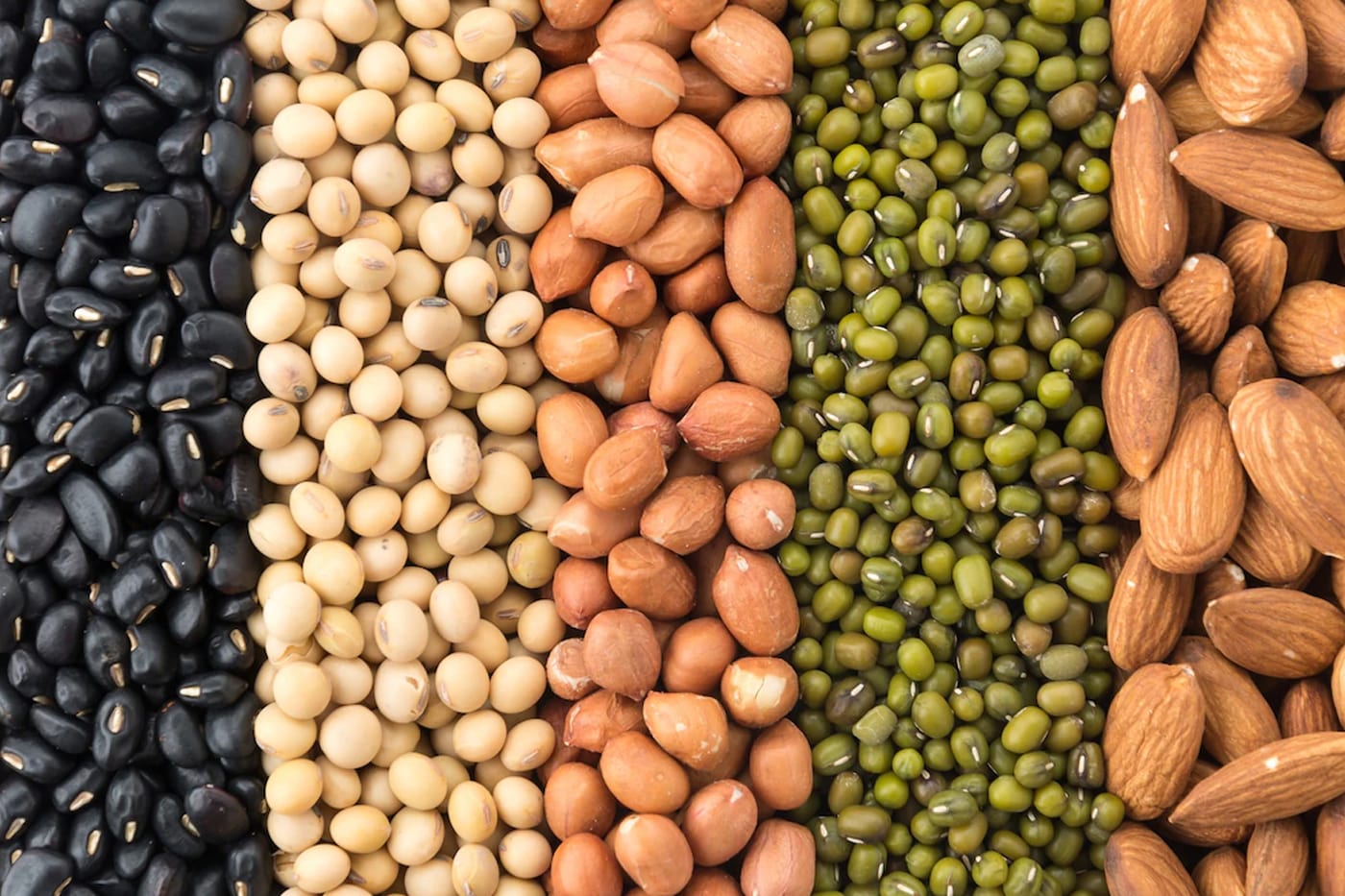 Ultimate Guide When Buying Herbs and Vegetable Seeds ECOgardener