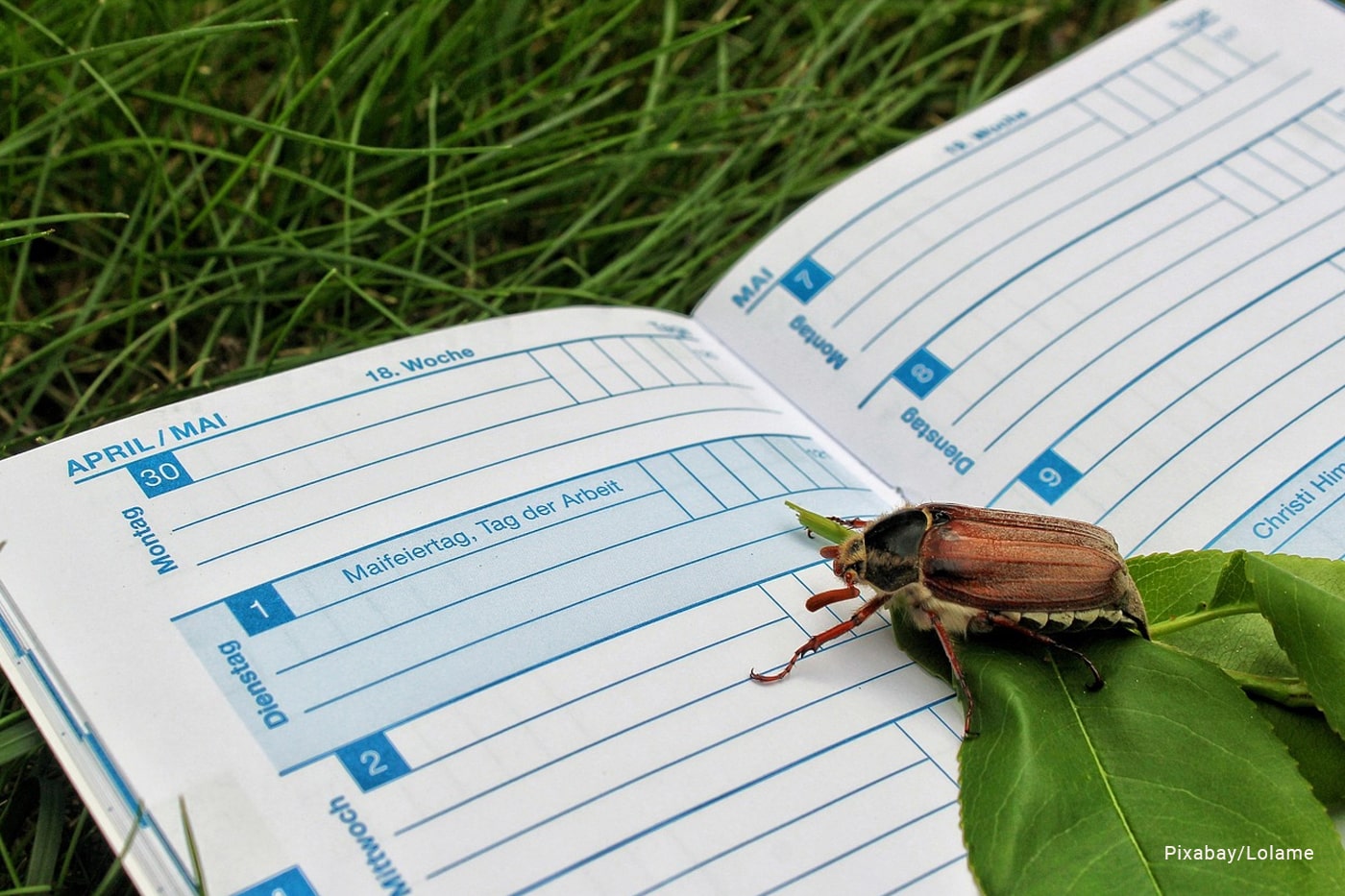 March Planting Calendar: A Week-by-Week Gardening Plan – ECOgardener