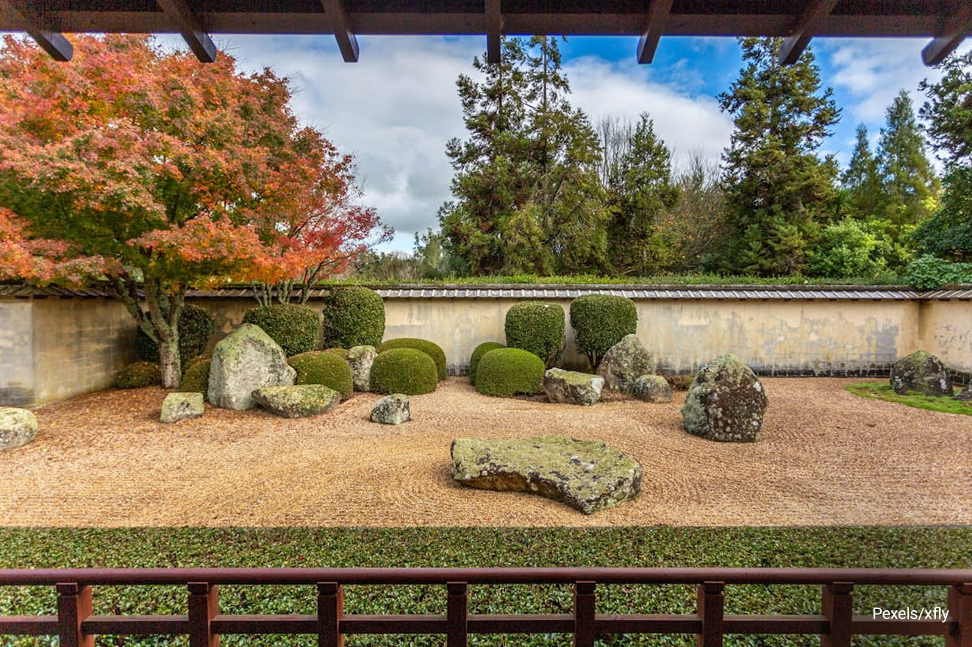Climate-Resilient Garden Design Ideas for a Changing World – ECOgardener
