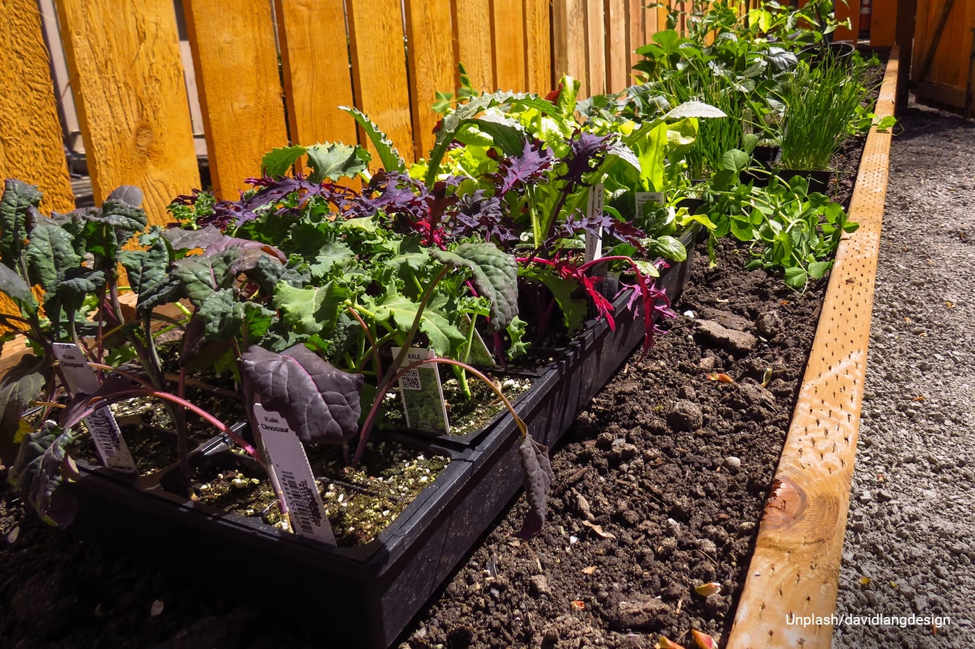 No-Dig Gardening: Guide for Healthier Soil and Fewer Weeds – ECOgardener