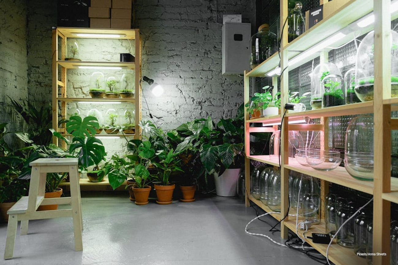 Indoor Gardening: How to Build a Grow Light Setup at Home – ECOgardener