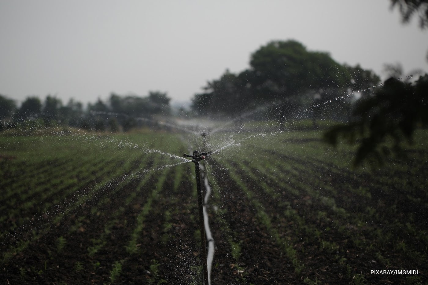 How to Combine Landscape Fabric with Drip Irrigation Systems – ECOgardener