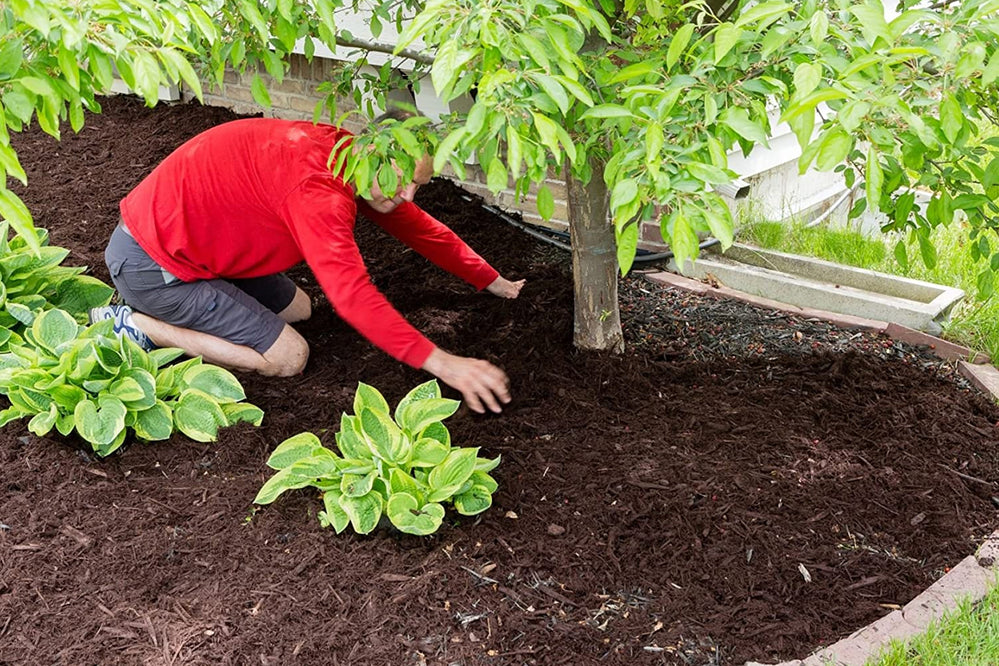 How To Install Landscape Fabric Around Shrubs and Trees – ECOgardener