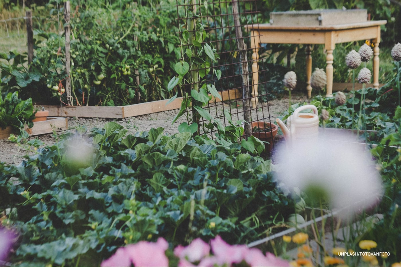 Planting New Roots in 2025: A Fresh Start for Your Garden – ECOgardener