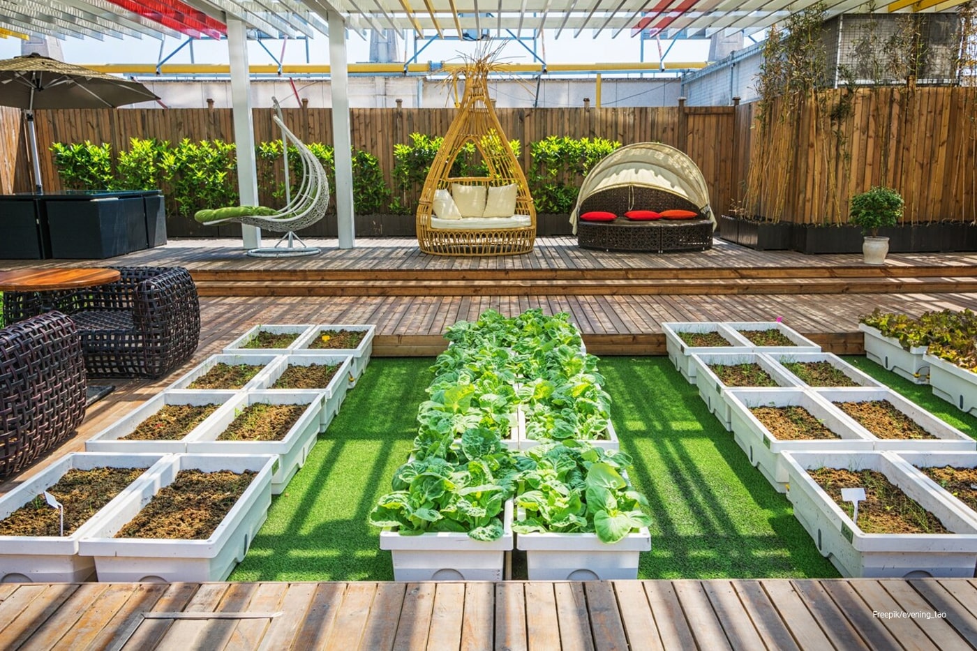 How To Select and Plant Cover Crops for Raised Bed Garden – ECOgardener