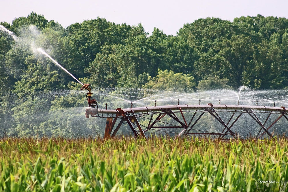 Best Irrigation System for Growing Crops – ECOgardener