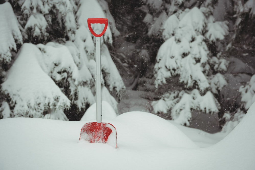 Protecting Your Garden Tools for the Winter – ECOgardener